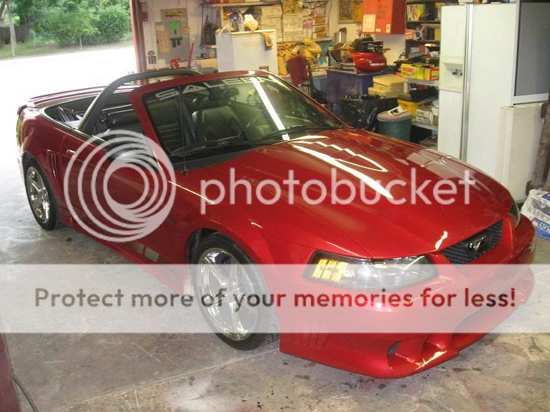FS: 99-04 Cervini 2000 Cobra R hood, Laser Red | Ford Mustang Forums