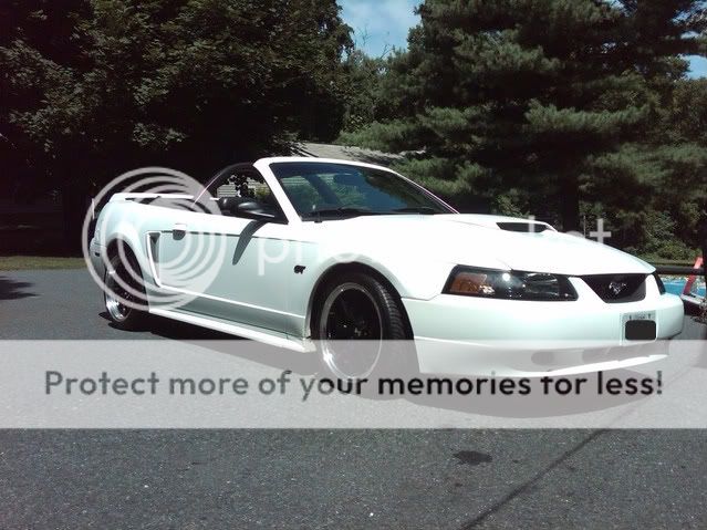 Sig Request | Modded Mustang Forums